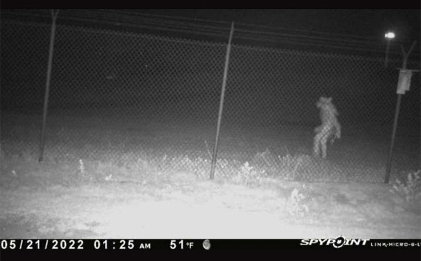 Mysterious creature that looks like a werewolf appeared in Texas ...