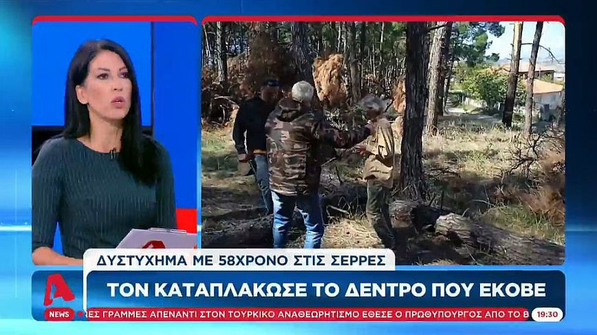 Αγρότης στις Σέρρες καταπλακώθηκε από δέντρο όταν πήγε να κόψει ξύλα ...