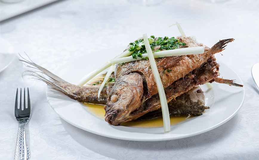 ΑΑΔΕ: Ο έλεγχος έβγαλε… λαβράκι – Βαριά «καμπάνα» 1 εκατoμμυρίου ευρώ ...