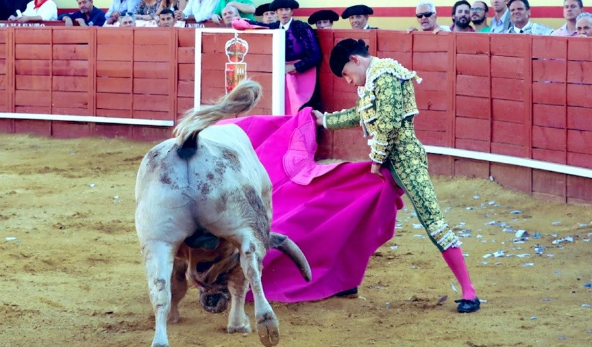 A bull "launched" a bullfighter into the air and sent him to the ...