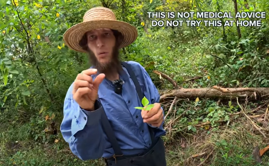 The 'vegan' farmer who lives without electricity or a phone - Walks ...