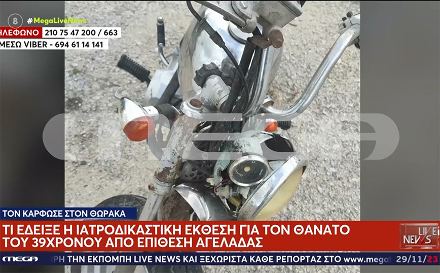 «Τον κάρφωσε στον θώρακα με τα κέρατα και πέθανε ακαριαία», το πόρισμα ...