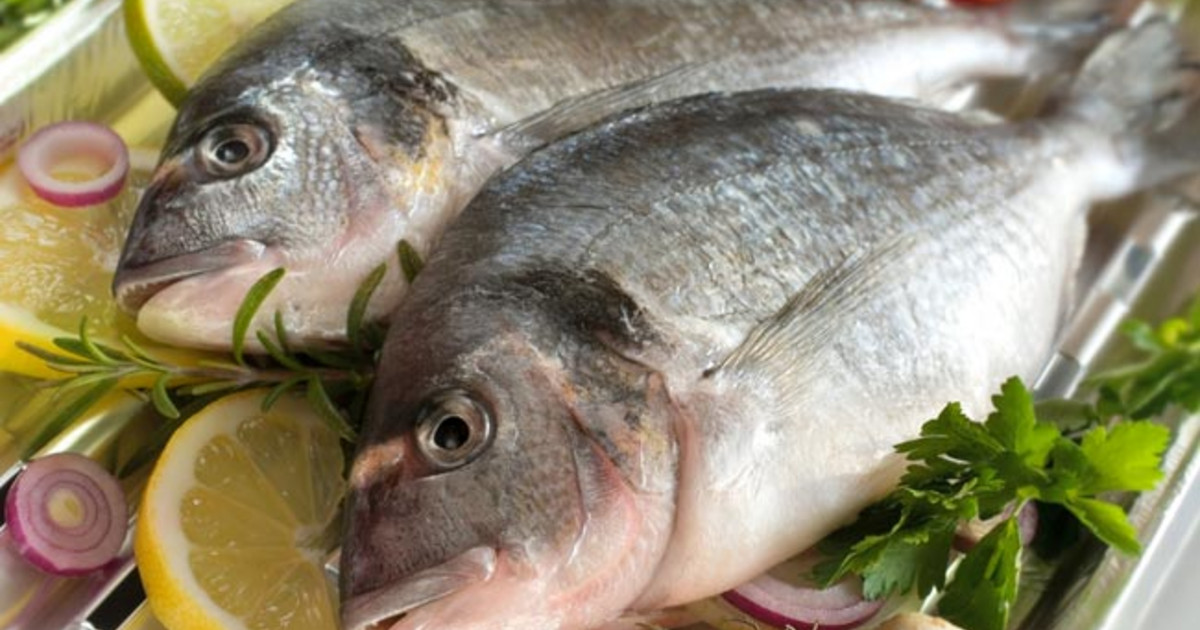 Τα ψάρια και οι εποχές τους - Newsbeast