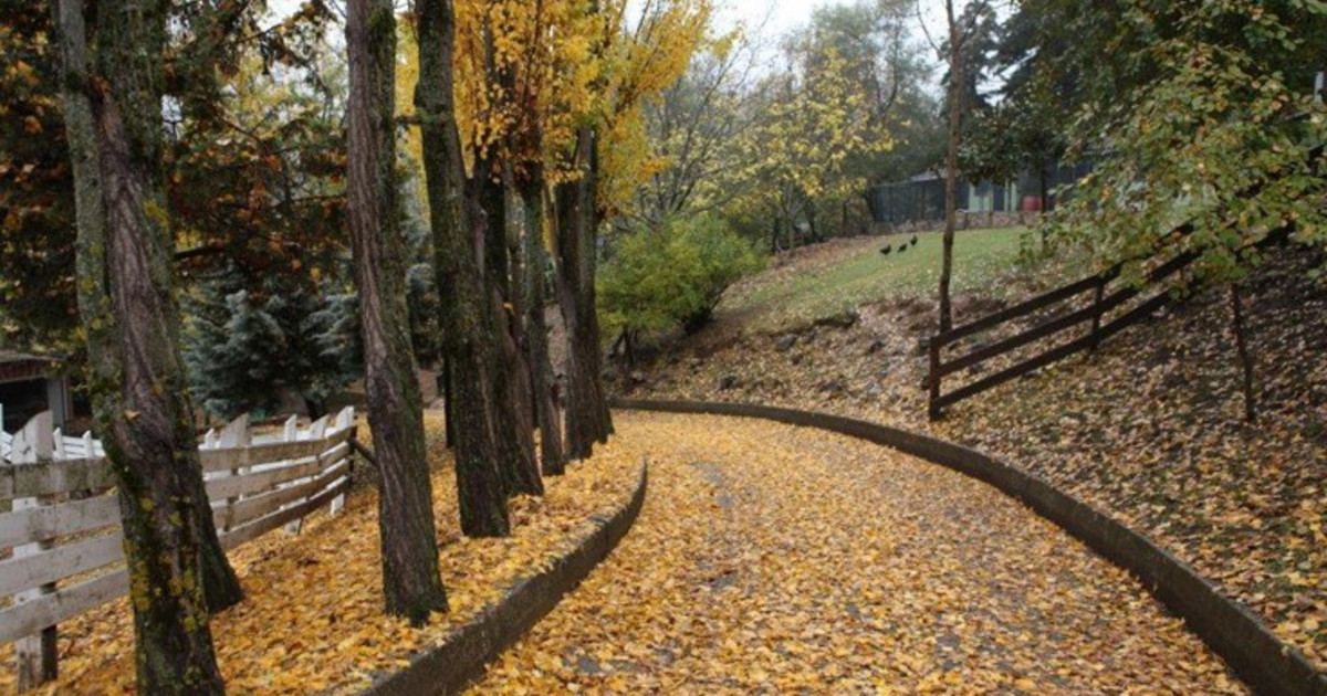 Παύλιανη, ένας χειμερινός παράδεισος κοντά στην Αθήνα - Newsbeast