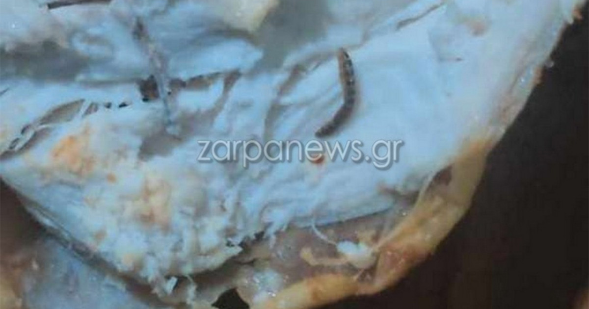 Σκουλήκια σε κοτόπουλο που αγόρασε από σούπερ μάρκετ στην Κρήτη ...