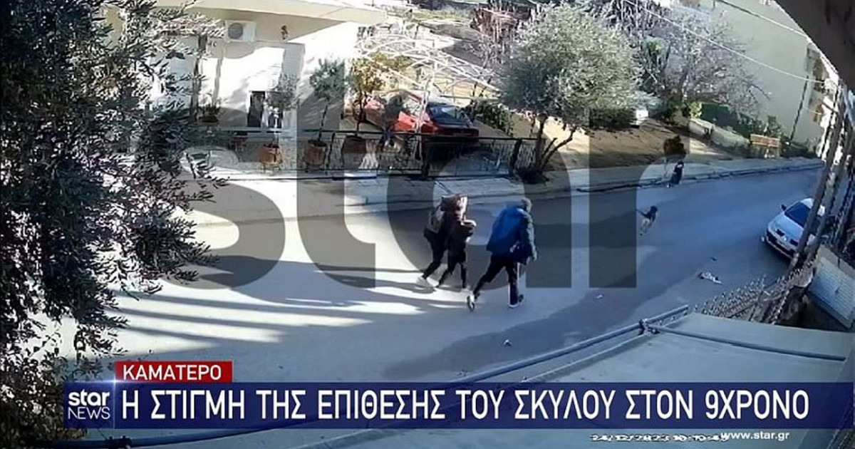 Βίντεο ντοκουμέντο από τη στιγμή της επίθεσης του σκύλου στο 9χρονο ...