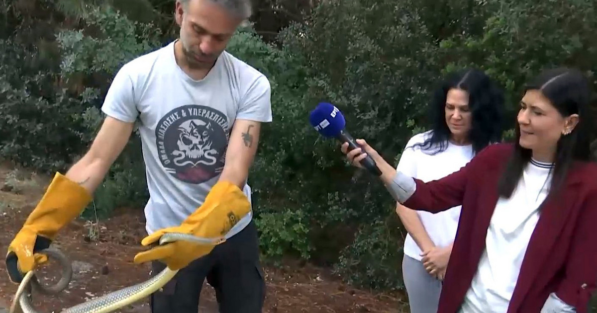 Ανησυχία για τα φίδια στη Θεσσαλονίκη – Έφιος σχεδόν δύο μέτρα ...