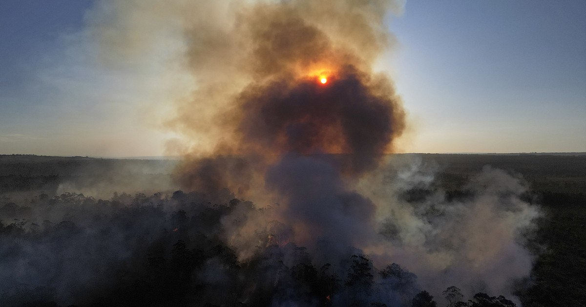 'We're struggling to breathe' - Shocking accounts of fires burning for ...