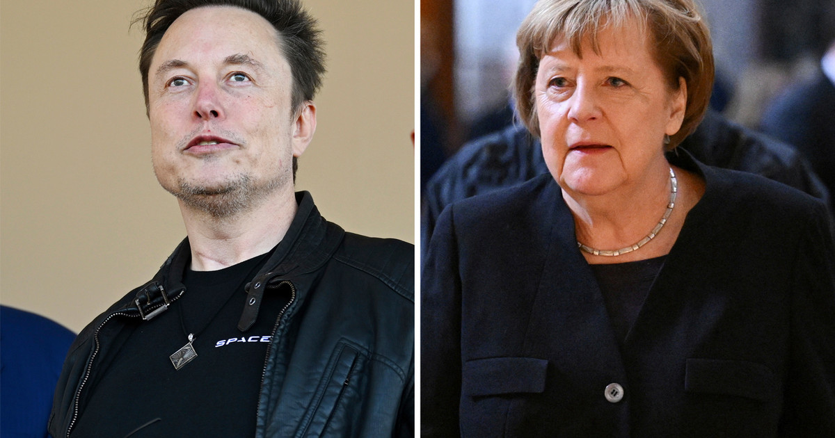 Musk's vulgar comment about Merkel: 'Who is this Angela Merkin person ...