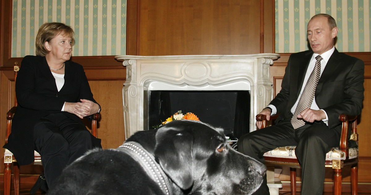 'I didn't know he was afraid of dogs' - Putin again apologizes to ...