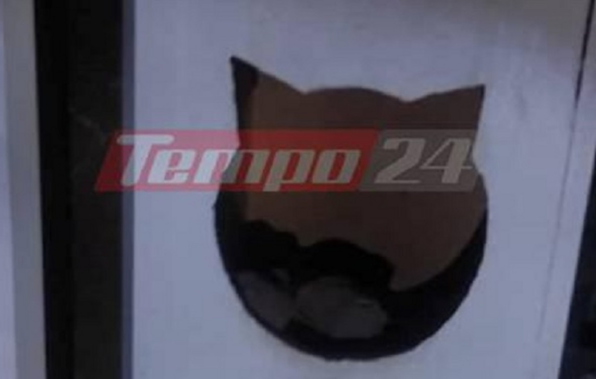 Πάτρα: Έκανε το «σπίτι» της γάτας κρυψώνα για ναρκωτικά και χρήματα ...