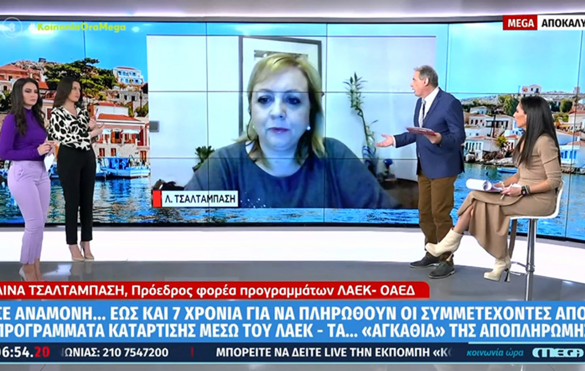 Καταγγελίες για προγράμματα επιδότησης του ΟΑΕΔ: Οι συμμετέχοντες ...