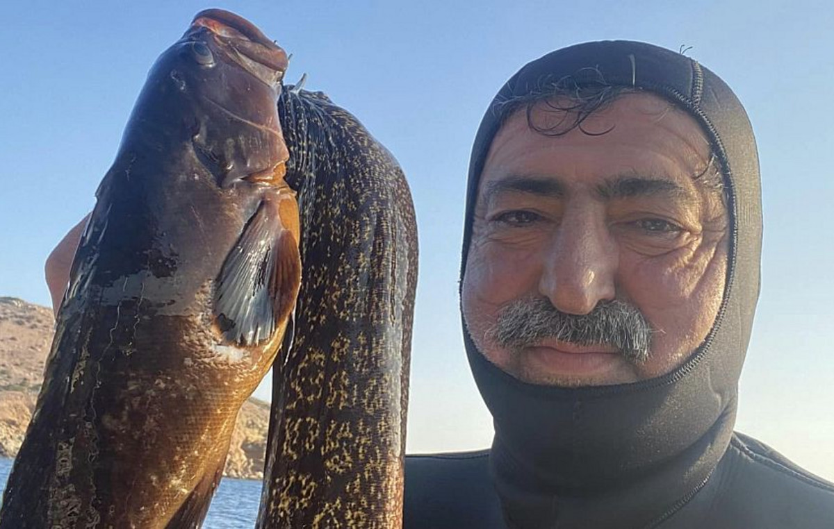 Παύλος Πολάκης: Οι πανηγυρισμοί για την απομάκρυνση της Σοφίας Νικολάου ...