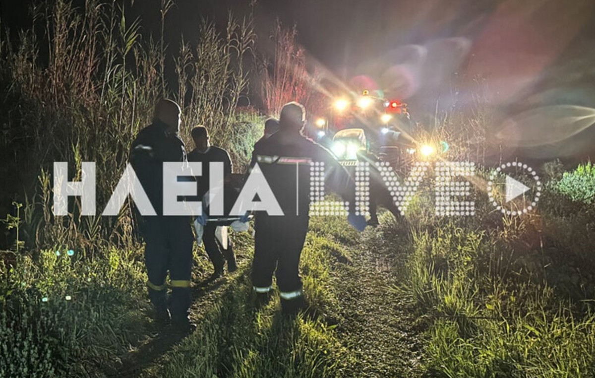 Τραγωδία με 70χρονο στην Ηλεία: Καταπλακώθηκε από κυπαρίσσι, ενώ έκοβε ...