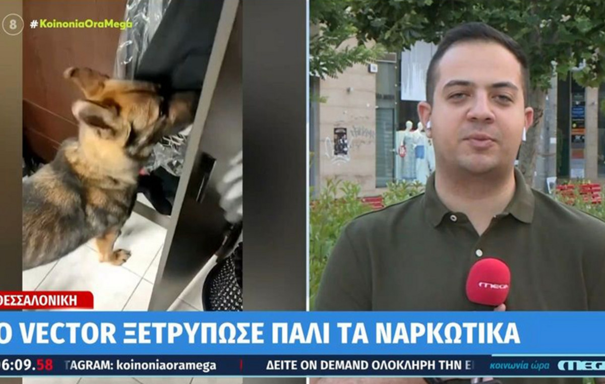 Ο αστυνομικός σκύλος Vector ξετρύπωσε ναρκωτικά που ήταν κρυμμένα στη ...