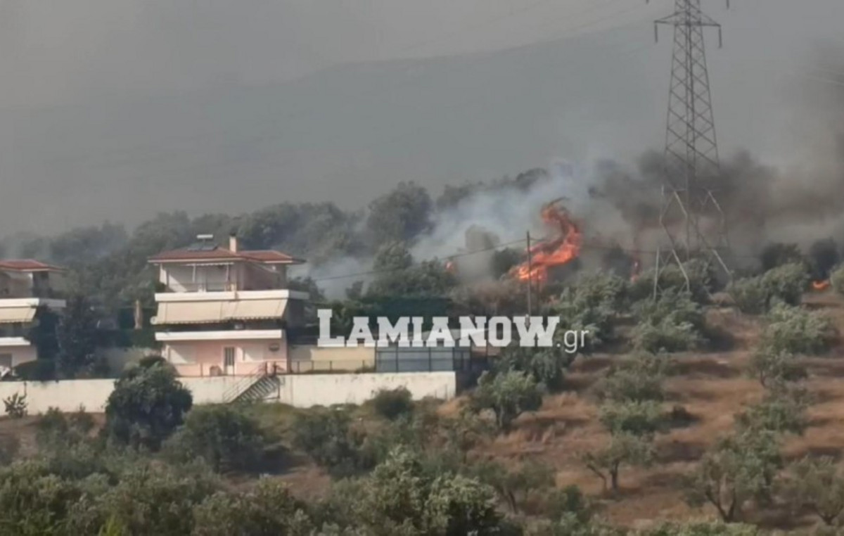 Φωτιά τώρα στη Λαμία: Νέο μήνυμα από το 112 – Εκκενώνονται Νέα Μαγνησία ...