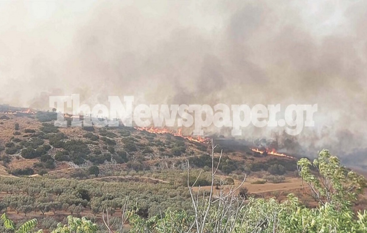 Φωτιά στη Μαγνησία: Καίγονται σπίτια στο Σέσκλο, αγνοείται 45χρονος ...