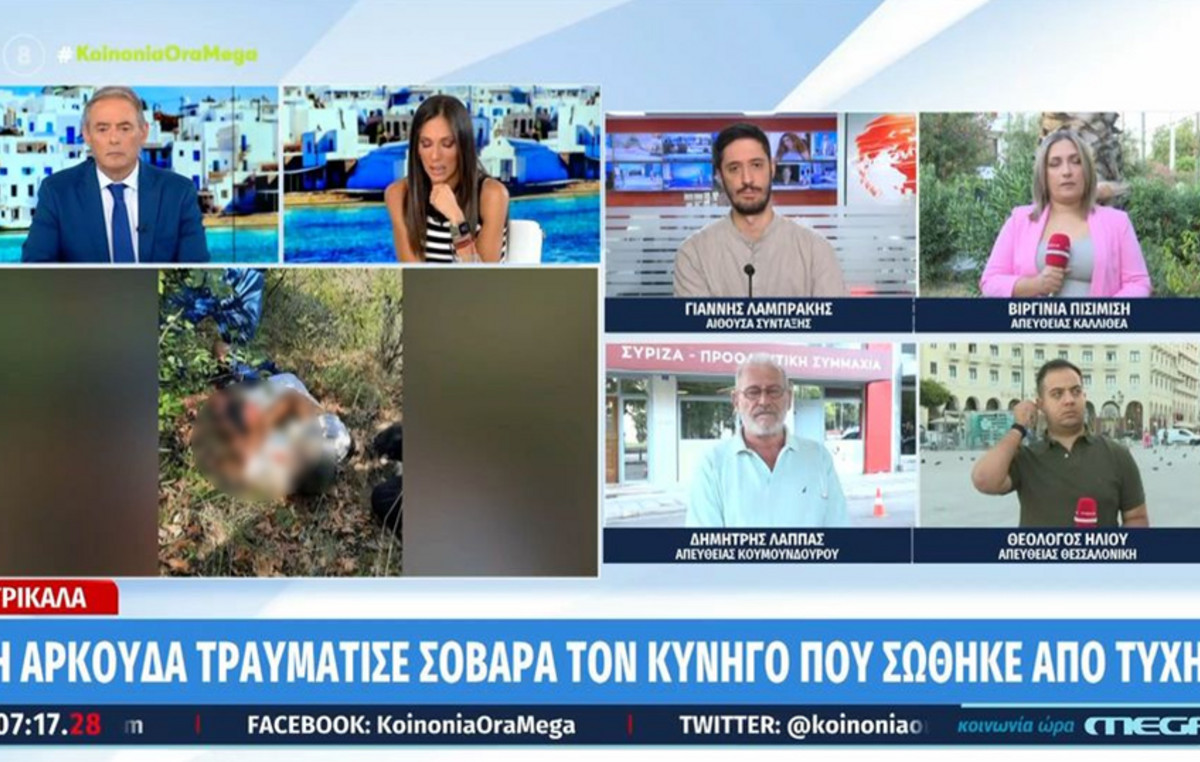 «Έχει μεγάλη ζημιά στο χέρι» λέει για τον 67χρονο από την Άρτα που ...