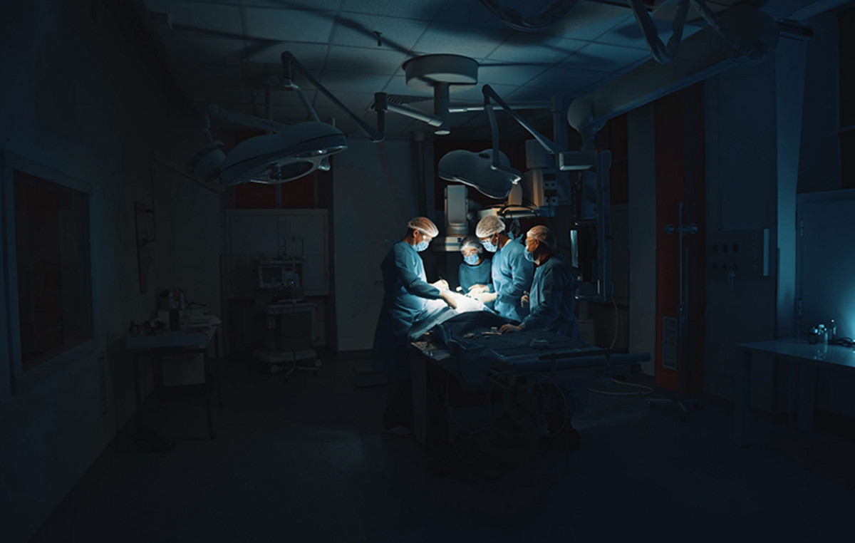 Μεταμόσχευση νεφρού χοίρου σε εγκεφαλικά νεκρό ασθενή – Το μόσχευμα ...