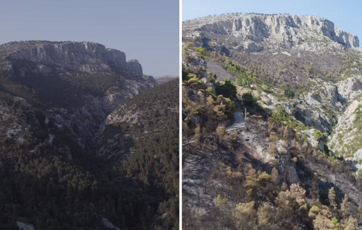 Φωτιά στη Φυλή: Βίντεο με το πριν και μετά της απόλυτης καταστροφής ...