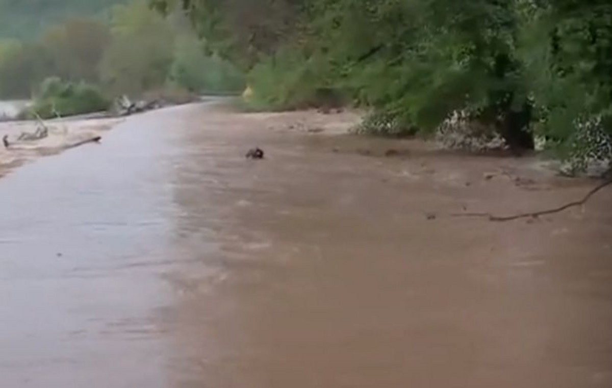 Δύσκολες ώρες στην Εύβοια με εγκλωβισμένους από την κακοκαιρία Elias: 112 σε 4 περιοχές για ...