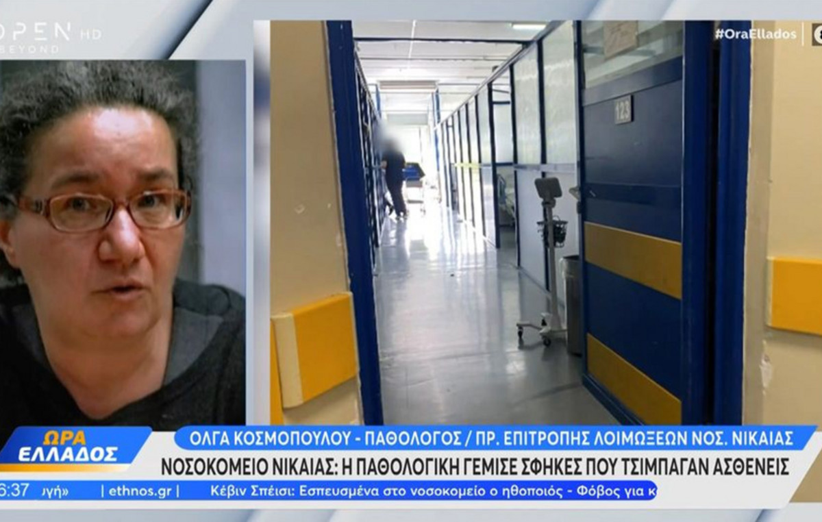 Τραγική η κατάσταση στο νοσοκομείο Νίκαιας – «Βρέθηκε μία φωλιά από ...