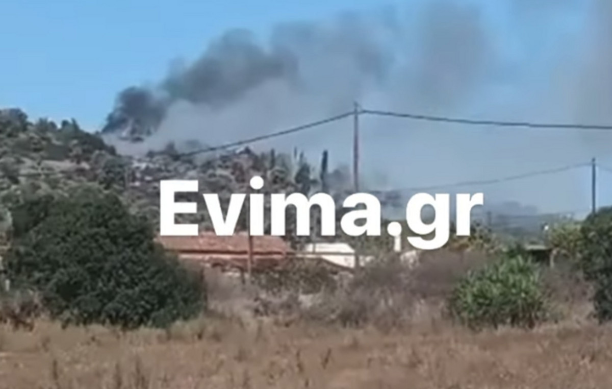 Συνελήφθη άνδρας για φωτιά στο χωριό Δάφνη Αυλωναρίου Ευβοίας – Κλάδεψε ...