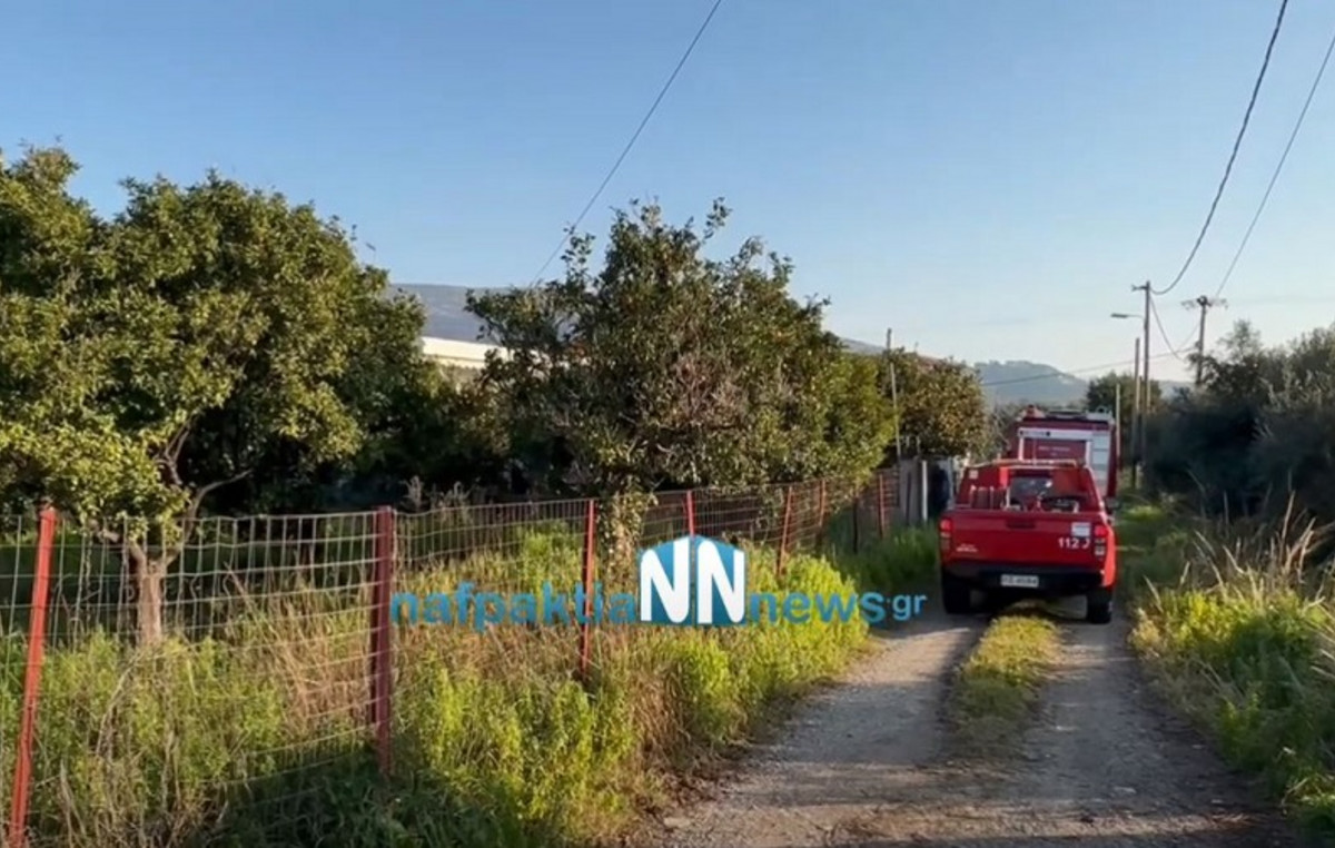 Νεκρά αδέλφια στη Ναύπακτο από φωτιά - Newsbeast