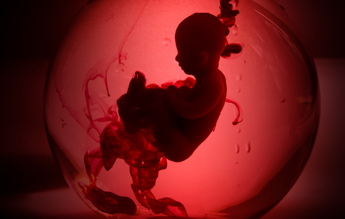 Τι πραγματικά κάνει ένα έμβρυο μέσα στη μήτρα - Newsbeast