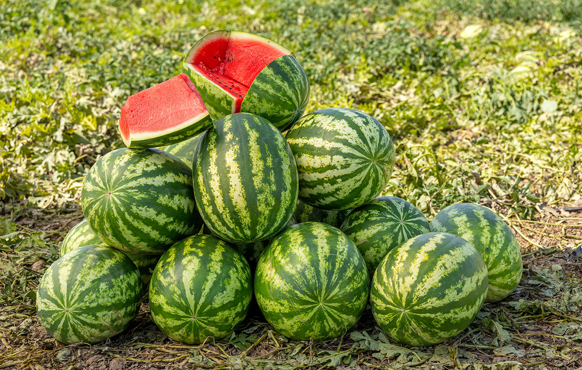 Πέντε πράγματα που ίσως δεν γνωρίζατε για το καρπούζι - Newsbeast