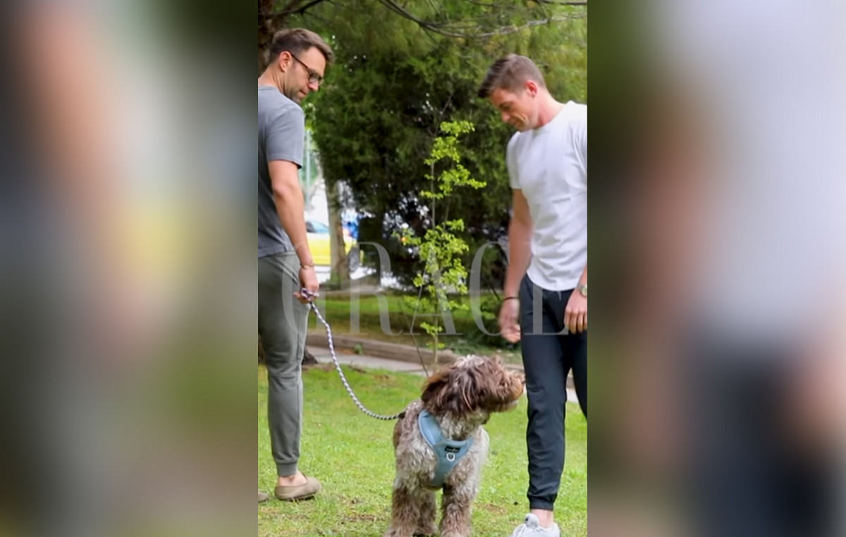 Ένα 24ωρο στη ζωή του Στέφανου Κασσελάκη και του Τάιλερ Μάκμπεθ - Newsbeast