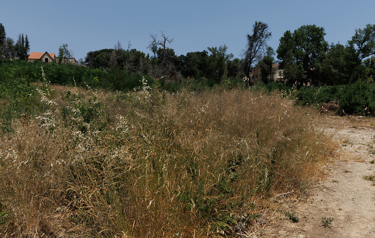 Ακαθάριστα οικόπεδα: Ποιοι κινδυνεύουν με πρόστιμο 1.000 ευρώ – Τι ...