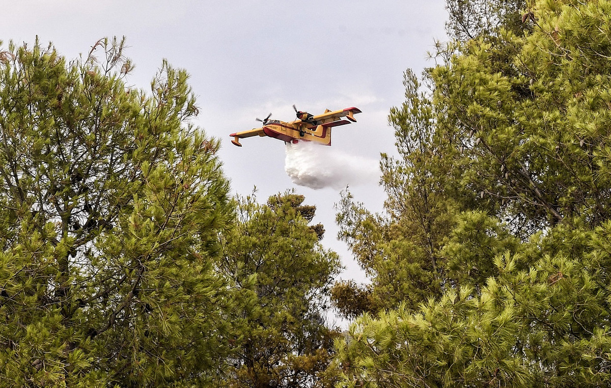 Φωτιά στον Βαρνάβα: Πόσα εναέρια μέσα επιχειρούσαν ανά ημέρα – Τι ...