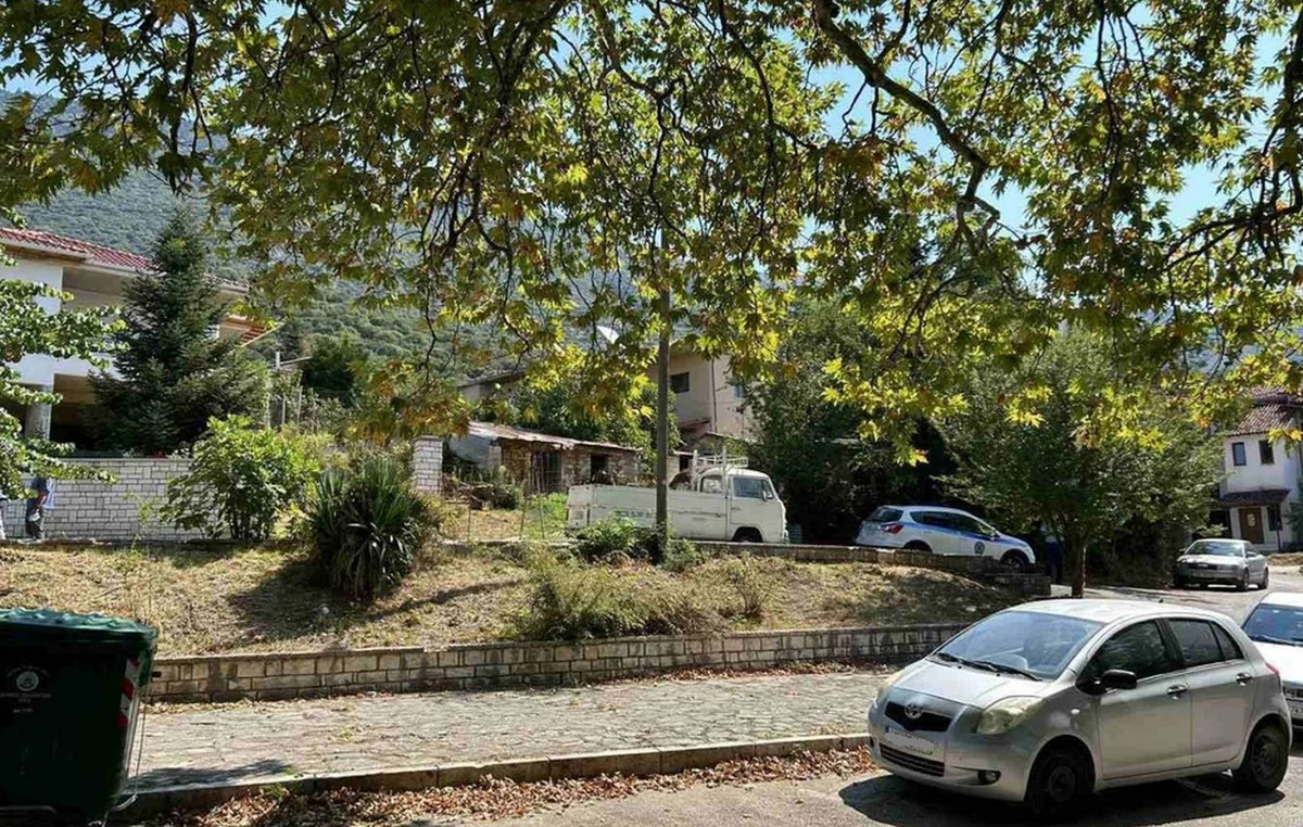 Νεκρή 62χρονη στα Ιωάννινα: Ομολόγησε τη δολοφονία της ο ανιψιός της ...