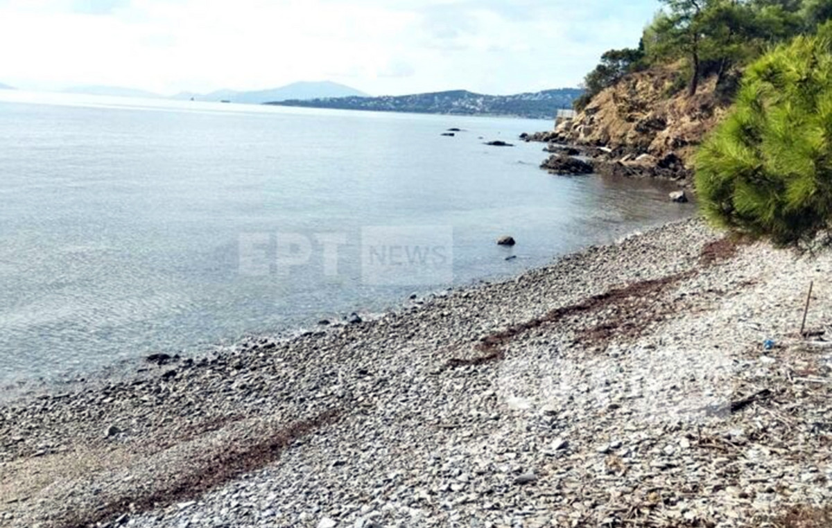 Βρέθηκε νεκρός στη θάλασσα ο 40χρονος που επιτέθηκε με ψαροντούφεκο ...
