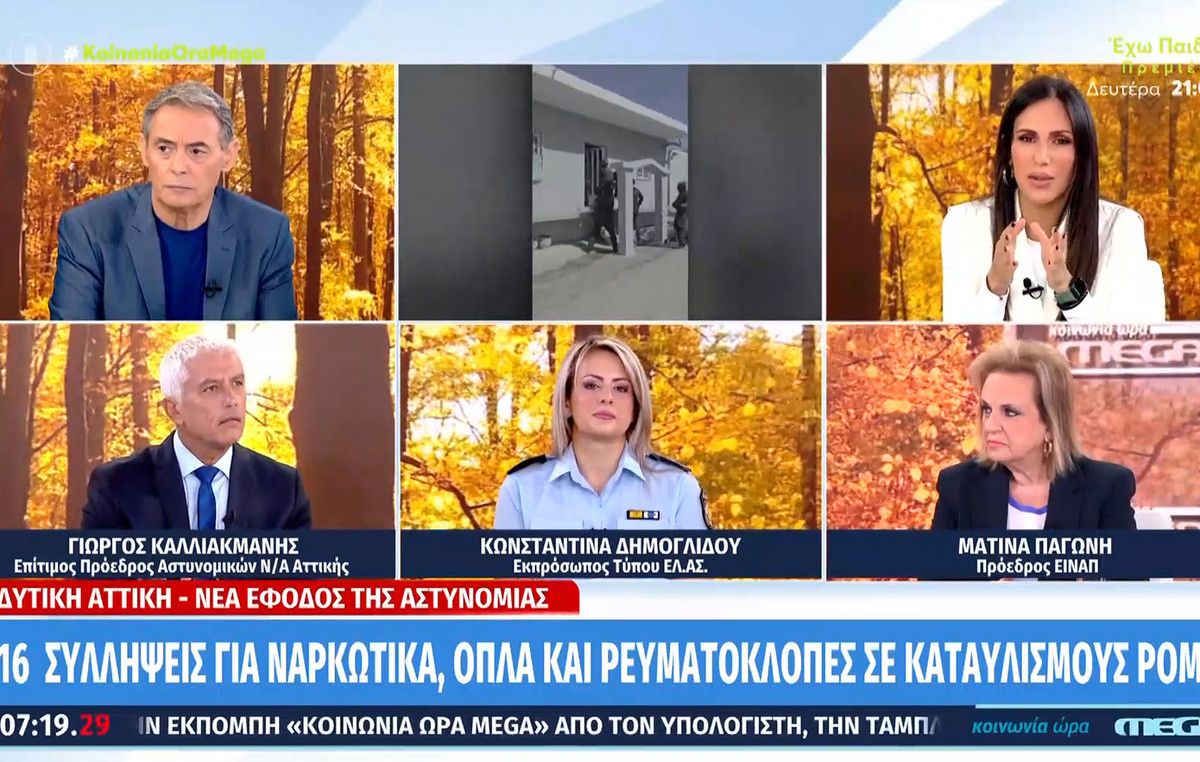 Καλλιακμάνης για τις εφόδους της ΕΛ.ΑΣ. σε καταυλισμούς Ρομά στη δυτική ...