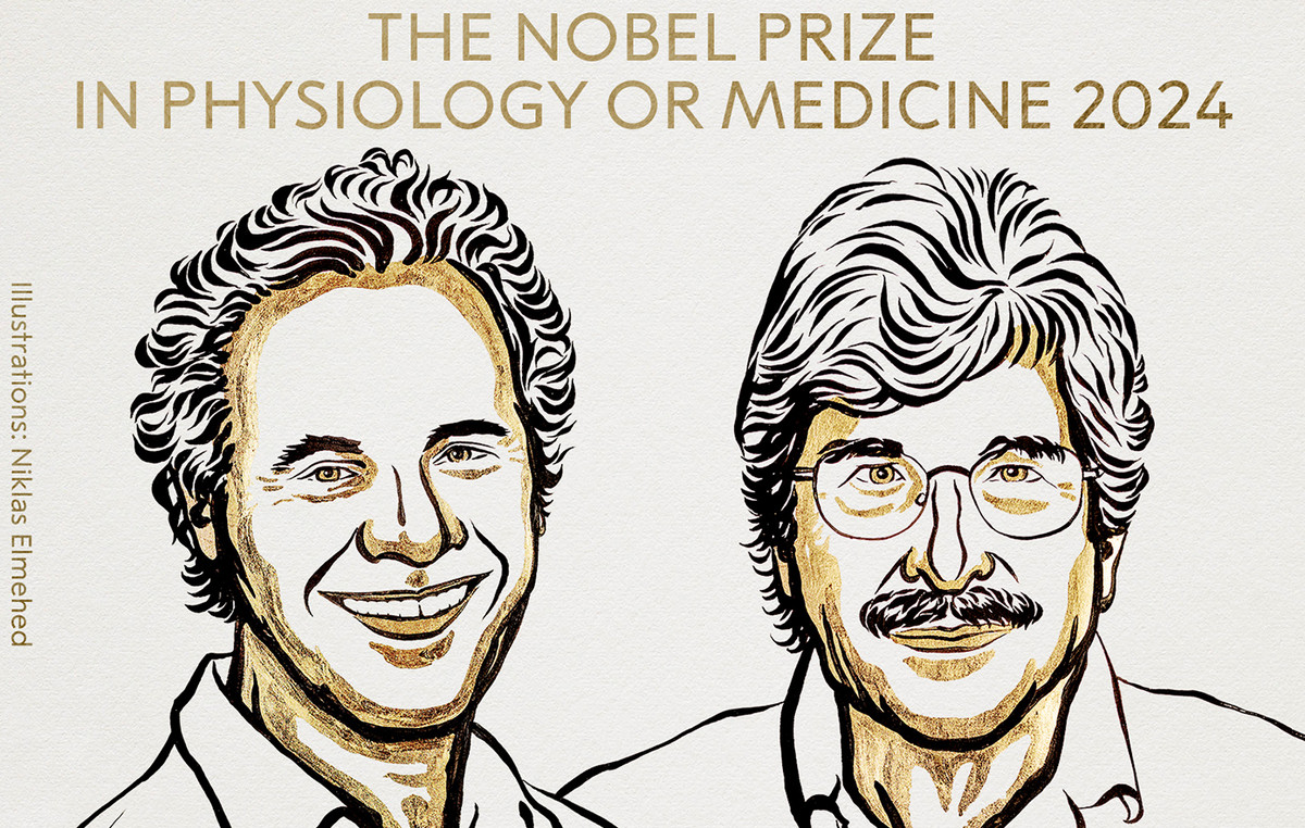 Στους Βίκτορ Άμπρος και Γκάρι Ρούβκουν το Νόμπελ Ιατρικής για την ...