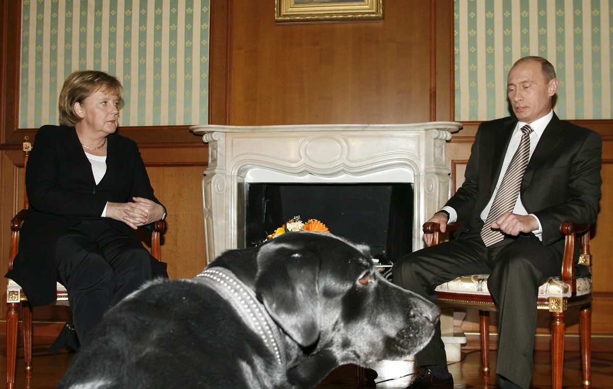 'He made a show of strength', says Angela Merkel of Putin and his ...