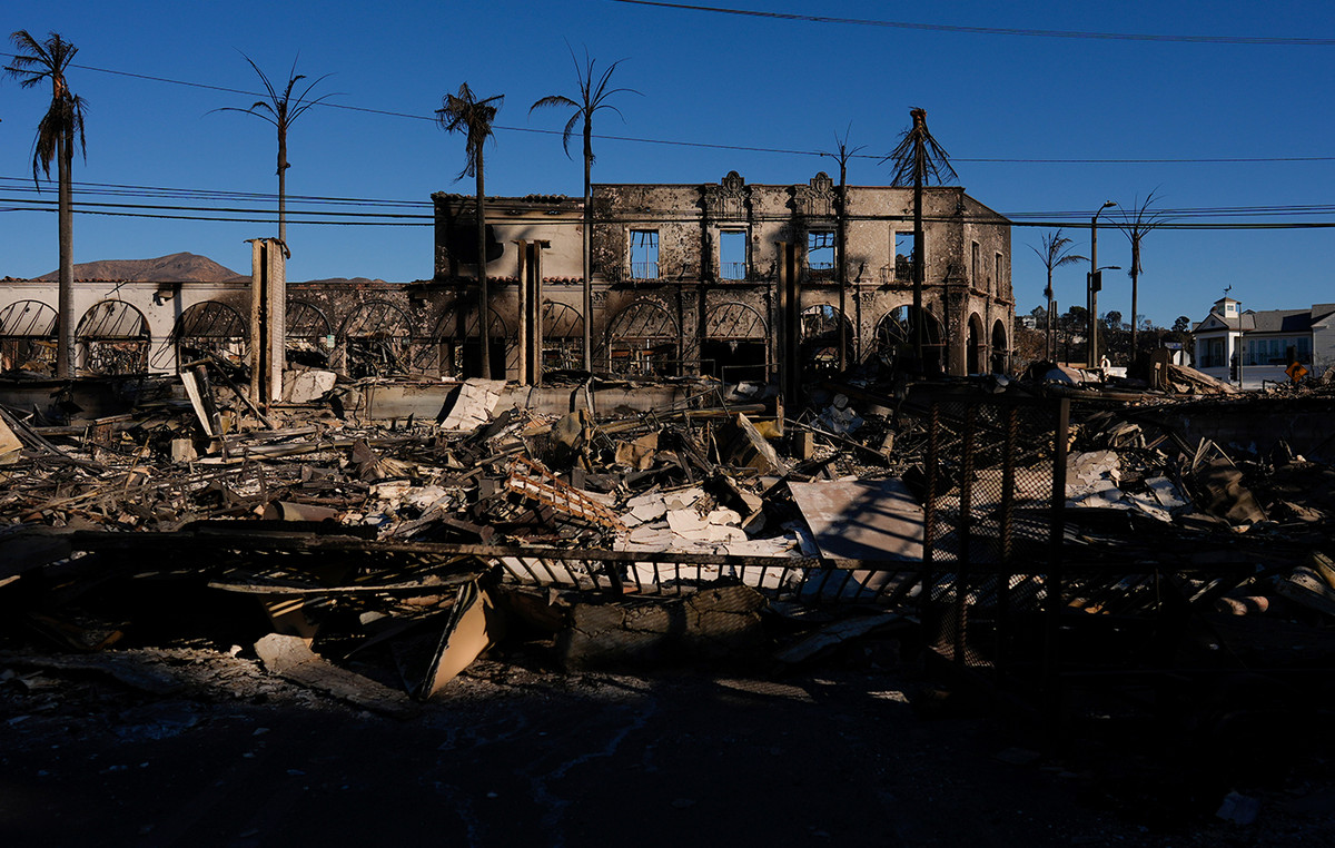 Lekkas from Los Angeles: The critical factors that contributed to the ...