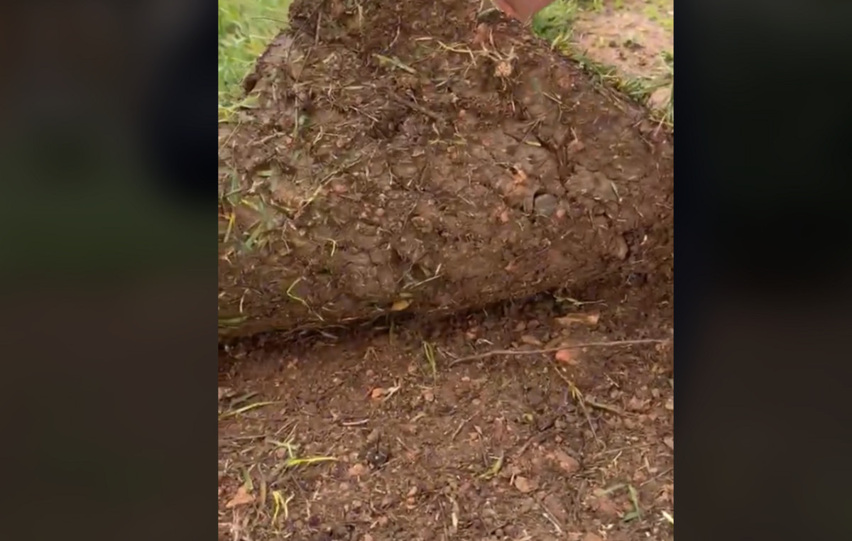 Άγνωστοι έκλεψαν το… γκαζόν από πλατεία στο Ελληνικό – «Τι να το κάνεις ...