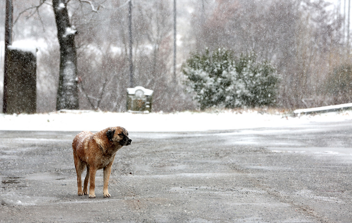Πότε ξεκινά η ακραία αλλαγή του καιρού με τσουχτερό κρύο και χιόνια και ...