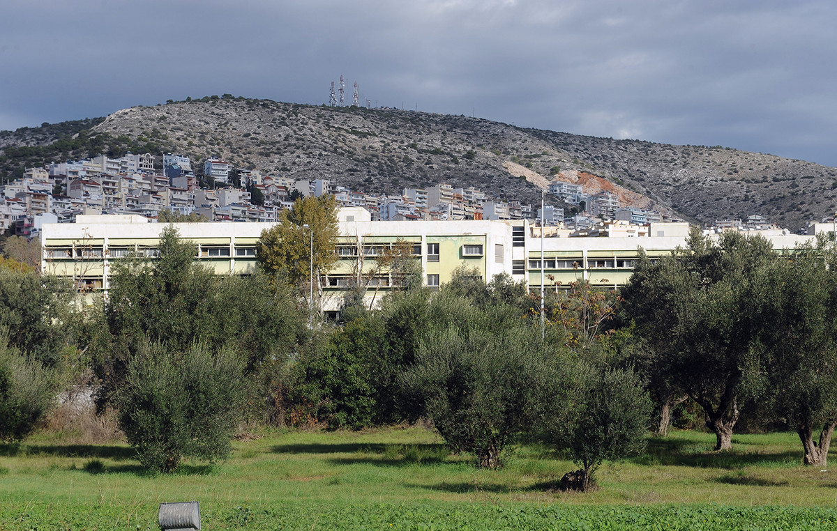 Νέα στοιχεία για το άγριο έγκλημα στο Δαφνί – Δολοφονία στην Κέρκυρα ...
