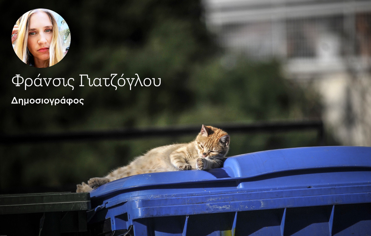 «Μην ανακατεύεσαι, δεν είναι η δουλειά σου» – Όταν πας να βοηθήσεις και ...