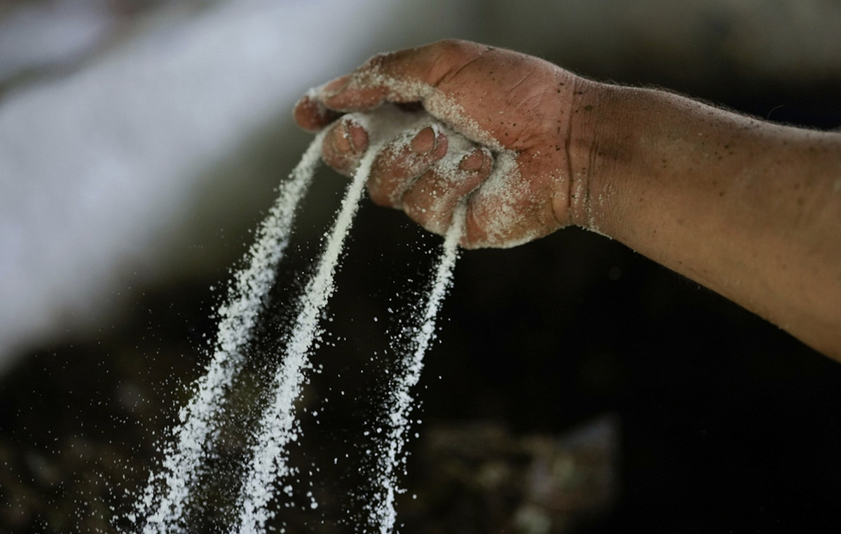 Venezuela: 16 tonnes of cocaine were seized in a business near Colombia ...