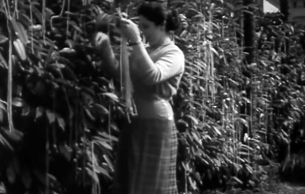 "Spaghetti grow in the trees" - why are we so cautious with a Fools ...