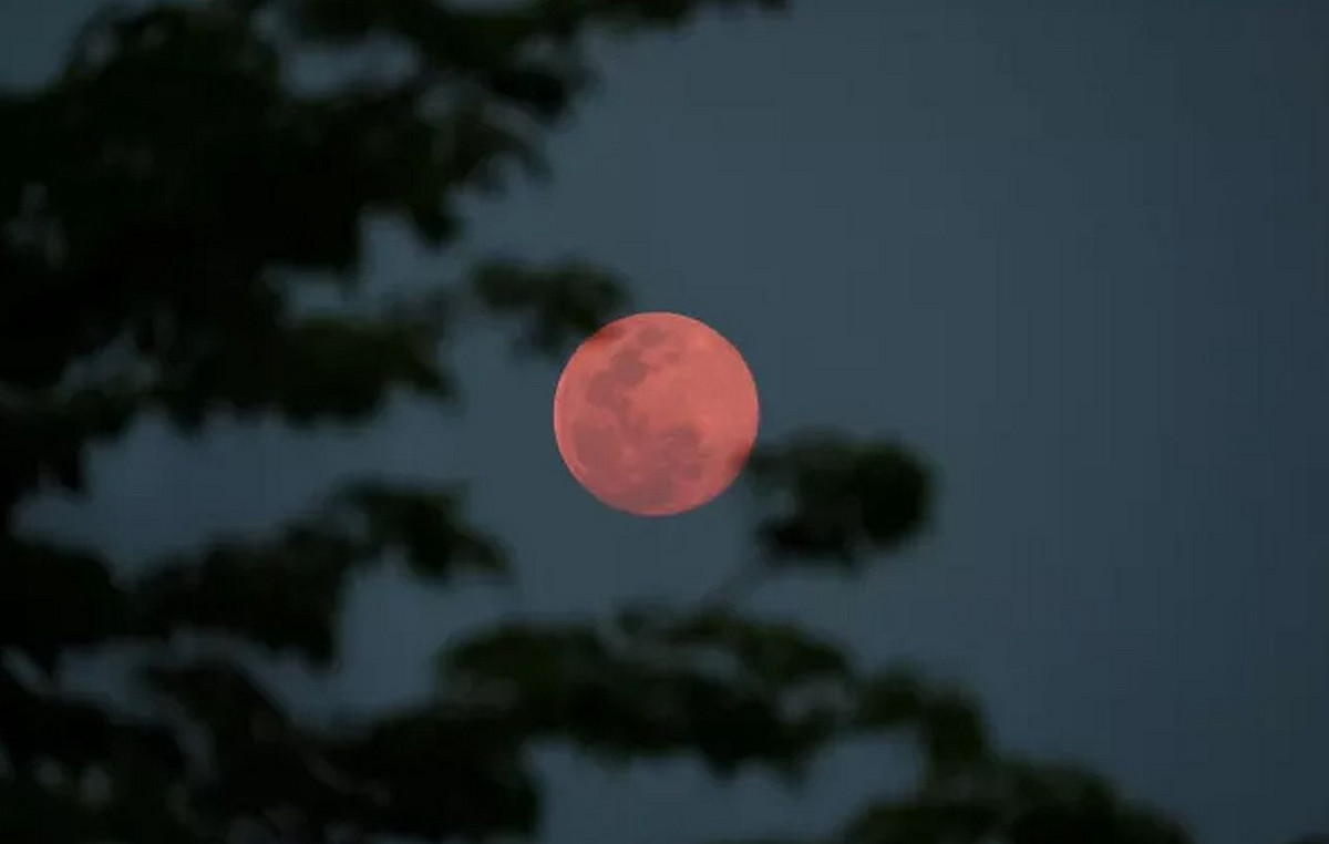 Why is it called "microseline" the pink full moon of April that will ...