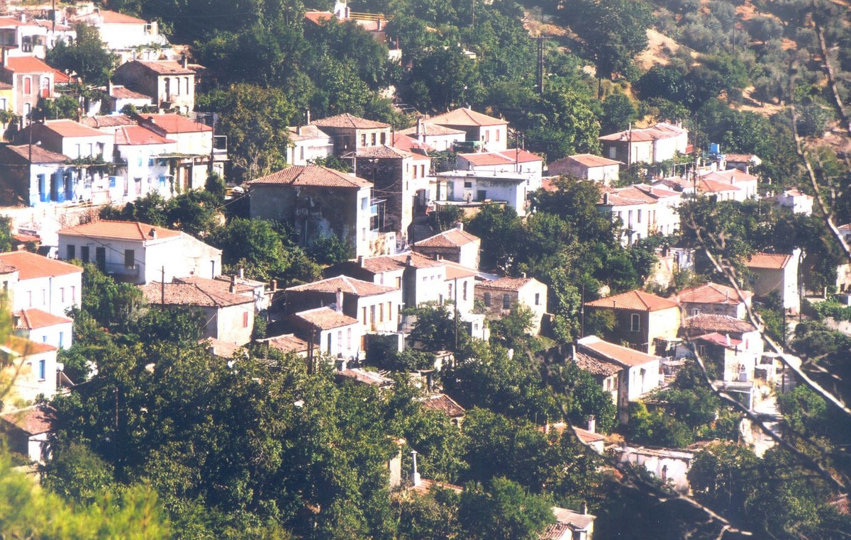 Άφησαν την Αθήνα για την ορεινή Φίλια της Λέσβου: Ζωή «λουλουδένια» με ...
