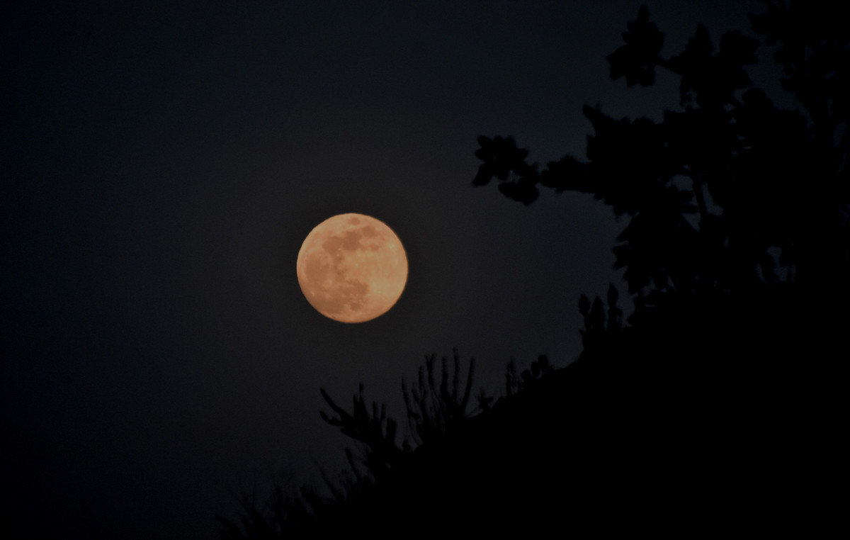 The Flower Full Moon illuminates tonight's night sky - what should ...