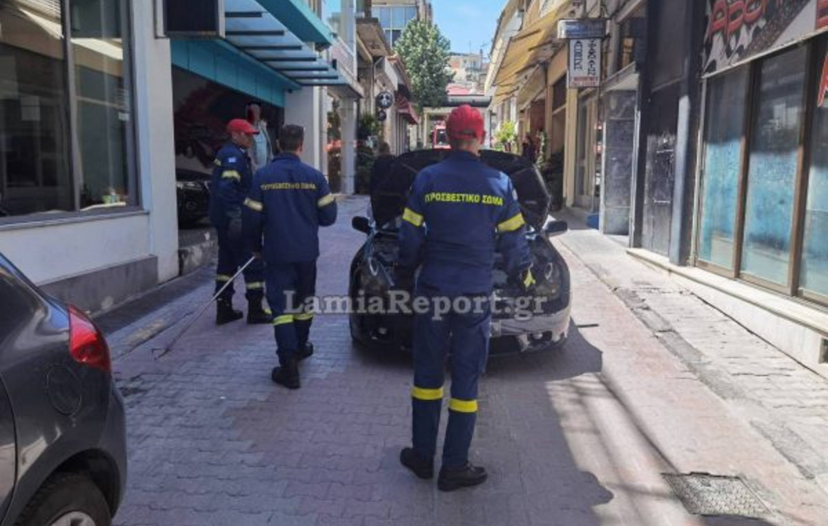 Τρόμος για οδηγό στη Λαμία: Εντόπισε φίδι μήκους ενός μέτρου στο όχημά ...