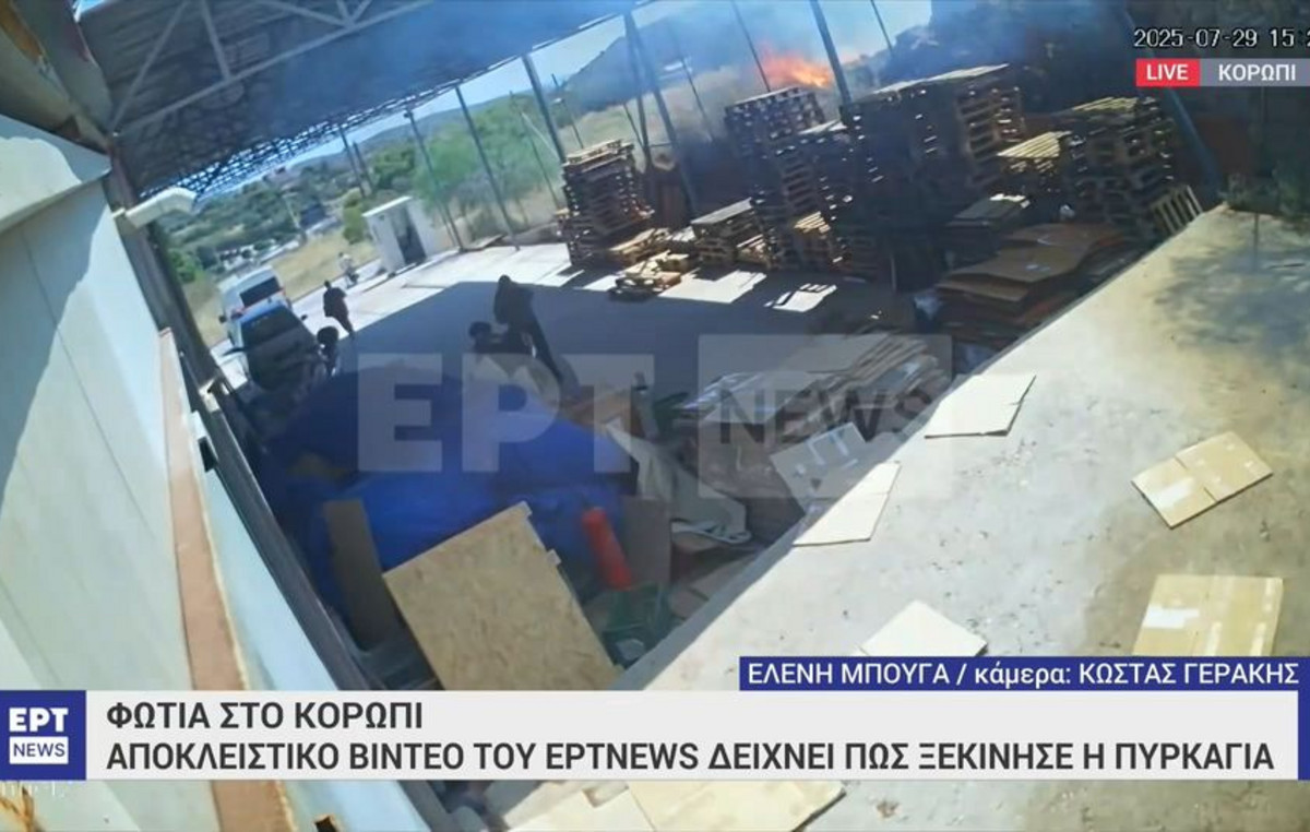Βίντεο ντοκουμέντο από τη στιγμή που ξεσπά η φωτιά στο Κορωπί - Newsbeast